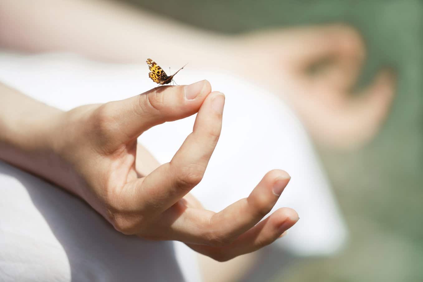 Wisdom & Compassion: The Two Wings of Meditation Practice - Meditation ...